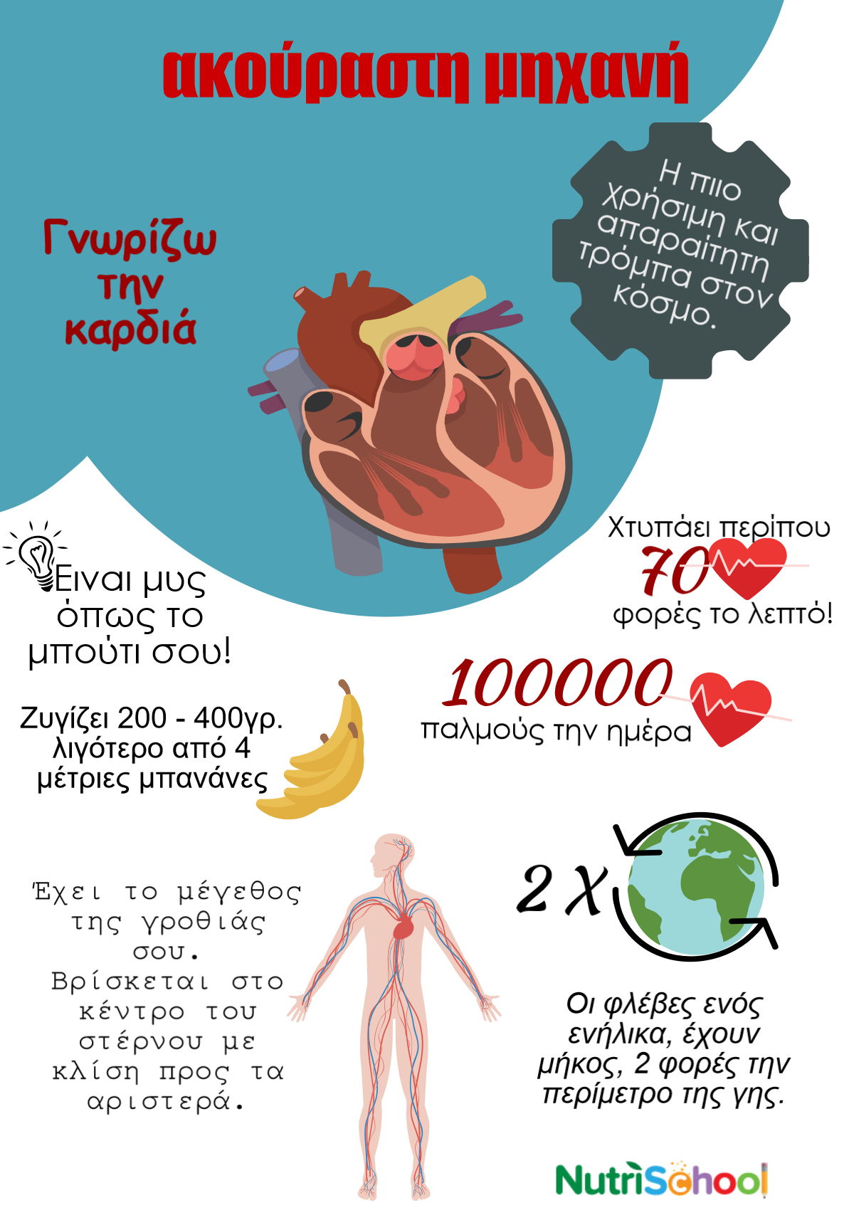 Καρδιά/nutrischool.gr